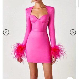 Catchallstore | Dresses | Aspen Pink Feather Bodycon Mini Dress Barbie ...